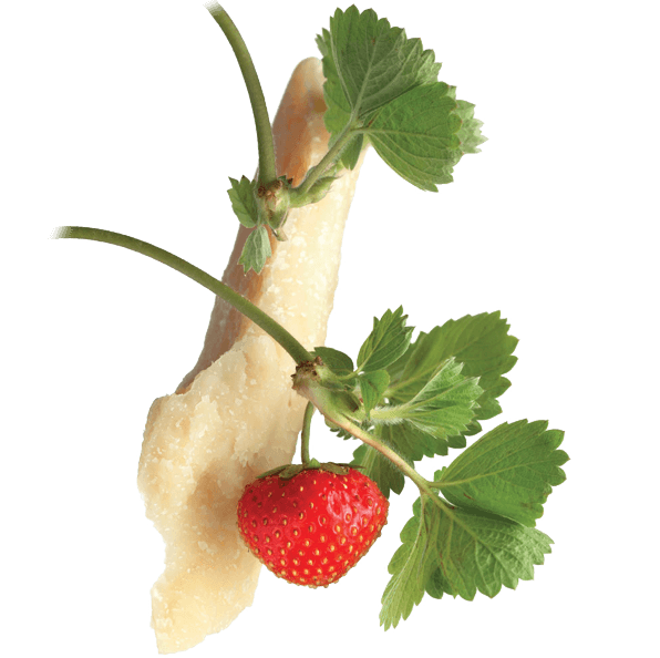 Homepage - Brazzale S.p.A.