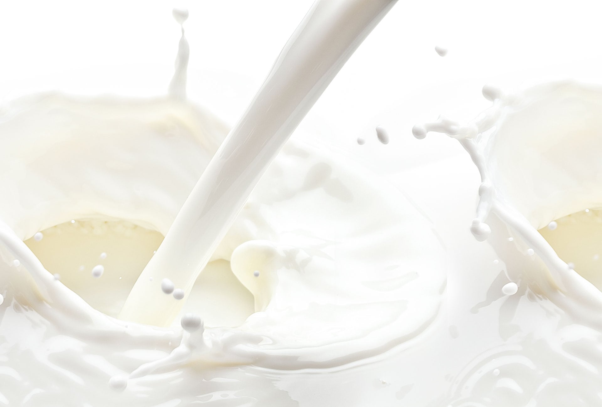 Homepage - Brazzale S.p.A.